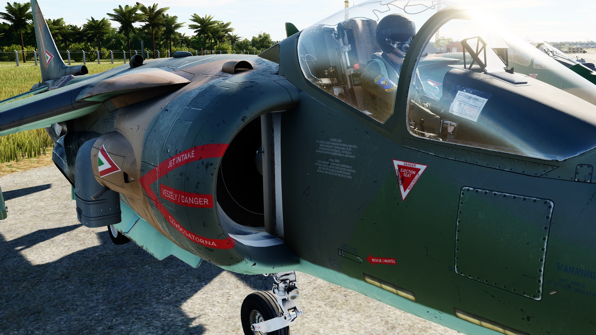 AV-8B Harrier II Hungarian Air Force pack (fictional camo)